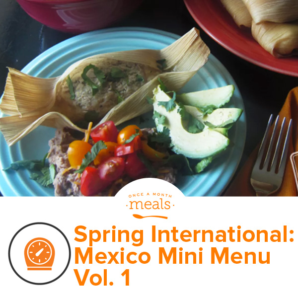 Spring International: Mexico Mini Freezer Meal Plan Vol. 1 | Once A ...