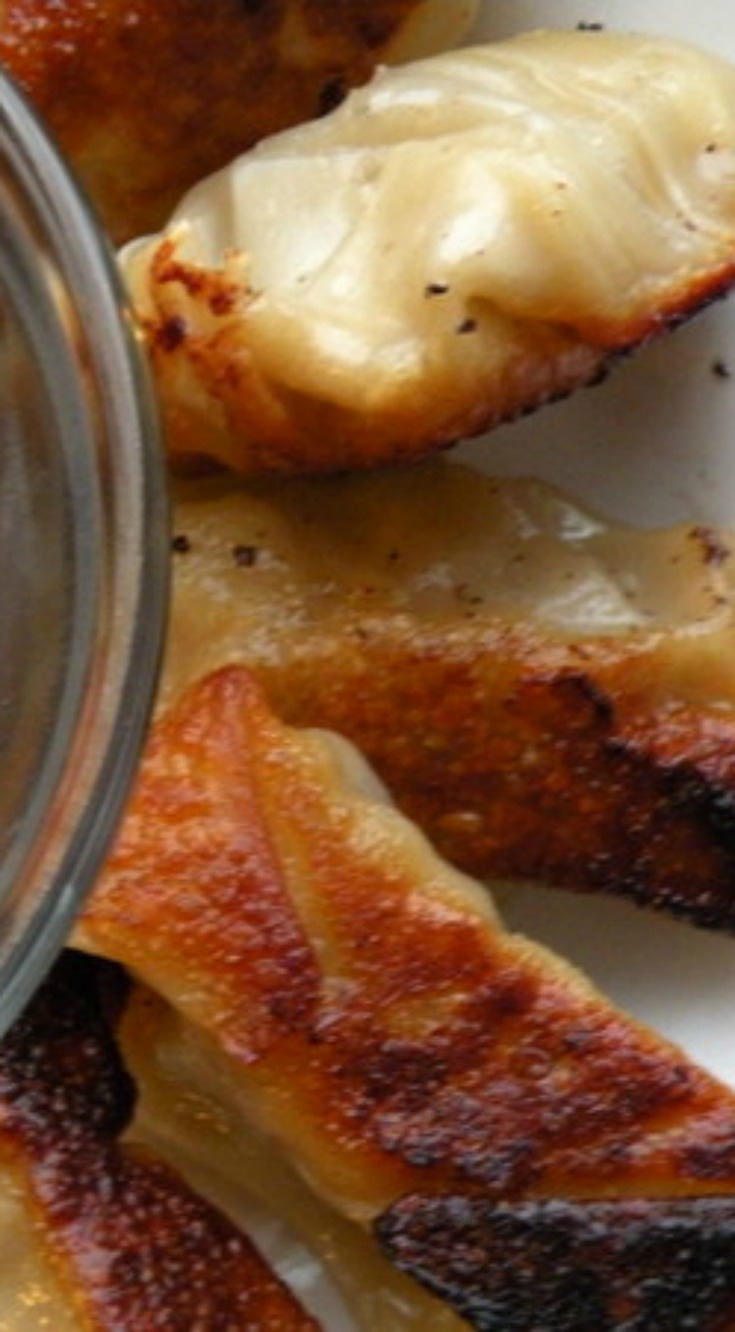 Chinese Pork Pot Sticker | Once A Month Meals