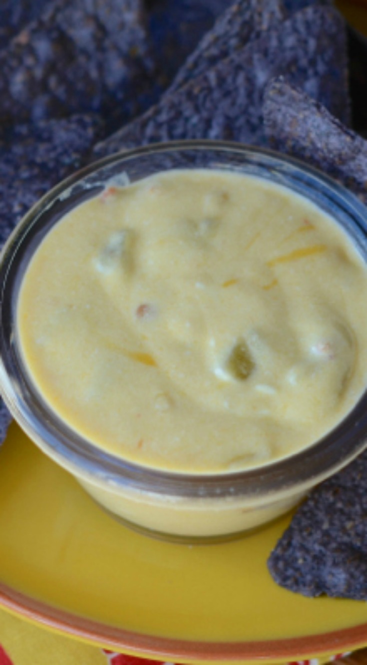 Homemade Queso | Once A Month Meals