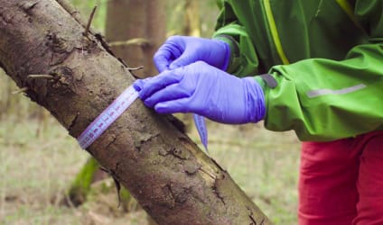 Best Online Environmental Science Programs of 2022 | BestColleges.com