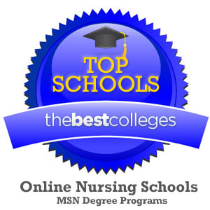 The Best Online MSN Programs for 2019