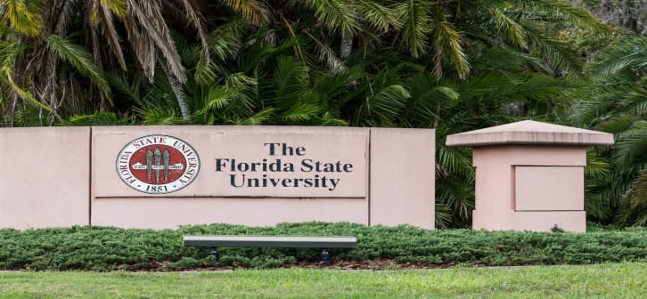 Florida State Adds Varsity Women's Lacrosse Team | BestColleges.com