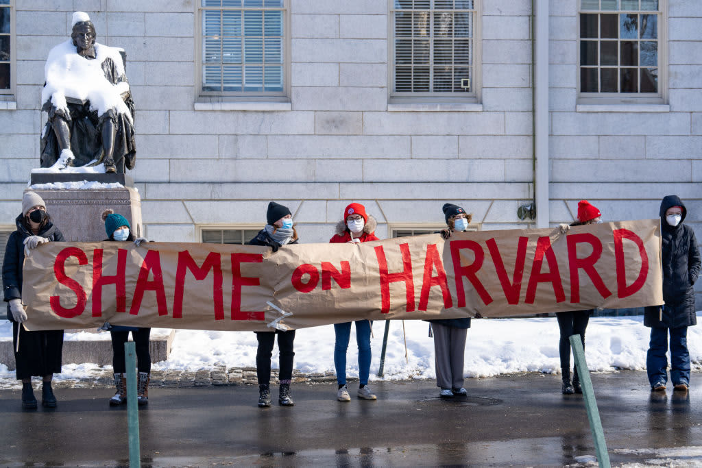 Harvard Grad Student Shares Tips for Planning Impactful Protests ...