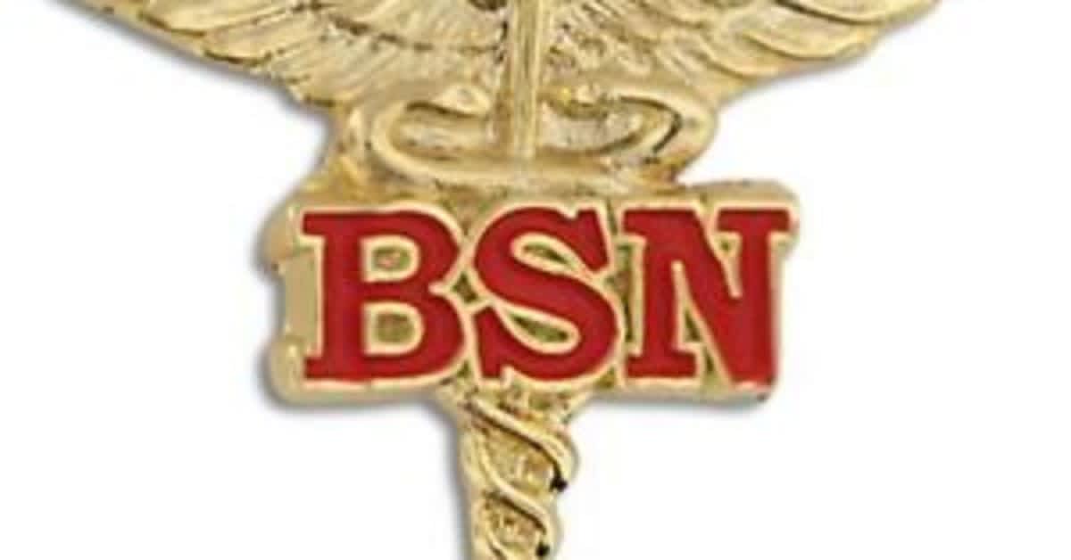 Anatomy of a Nursing BSN Degree - NurseJournal.org
