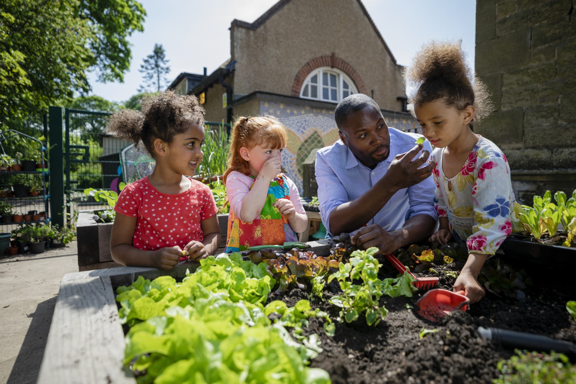 Best Affordable Online Elementary Education Degrees of 2026 | BestColleges