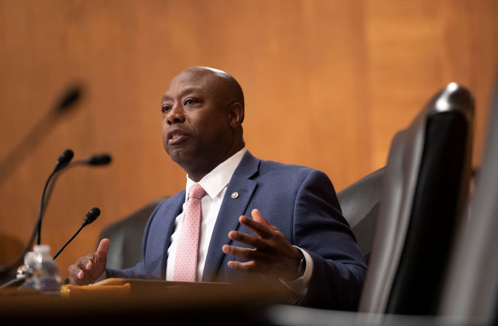 Where Did Tim Scott Go to College? | BestColleges