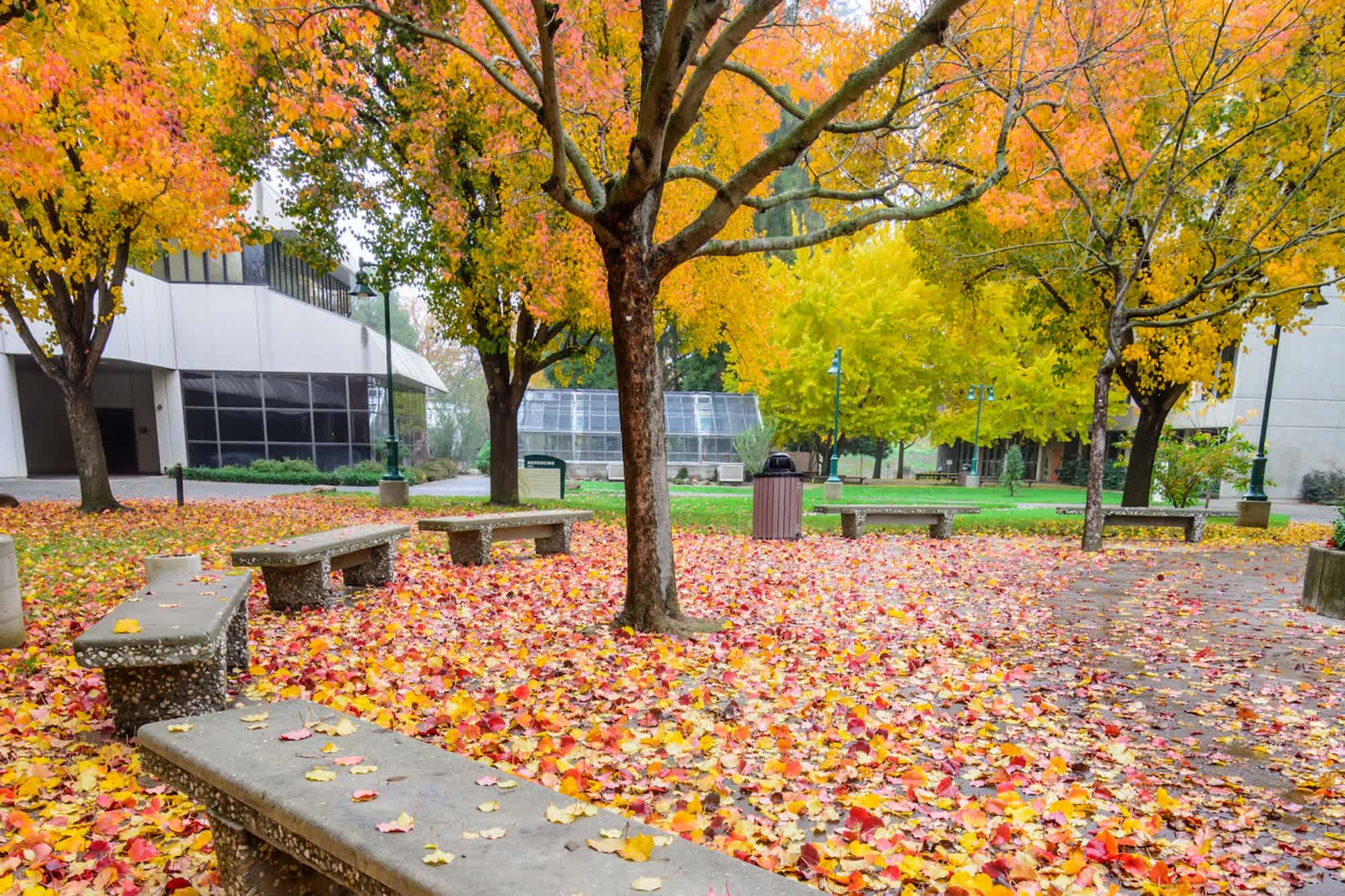 Eligible Community College Students Guaranteed Transfer to Sacramento ...