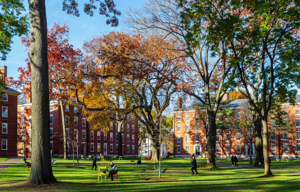 Harvard Announces 'Launch Grants' | BestColleges