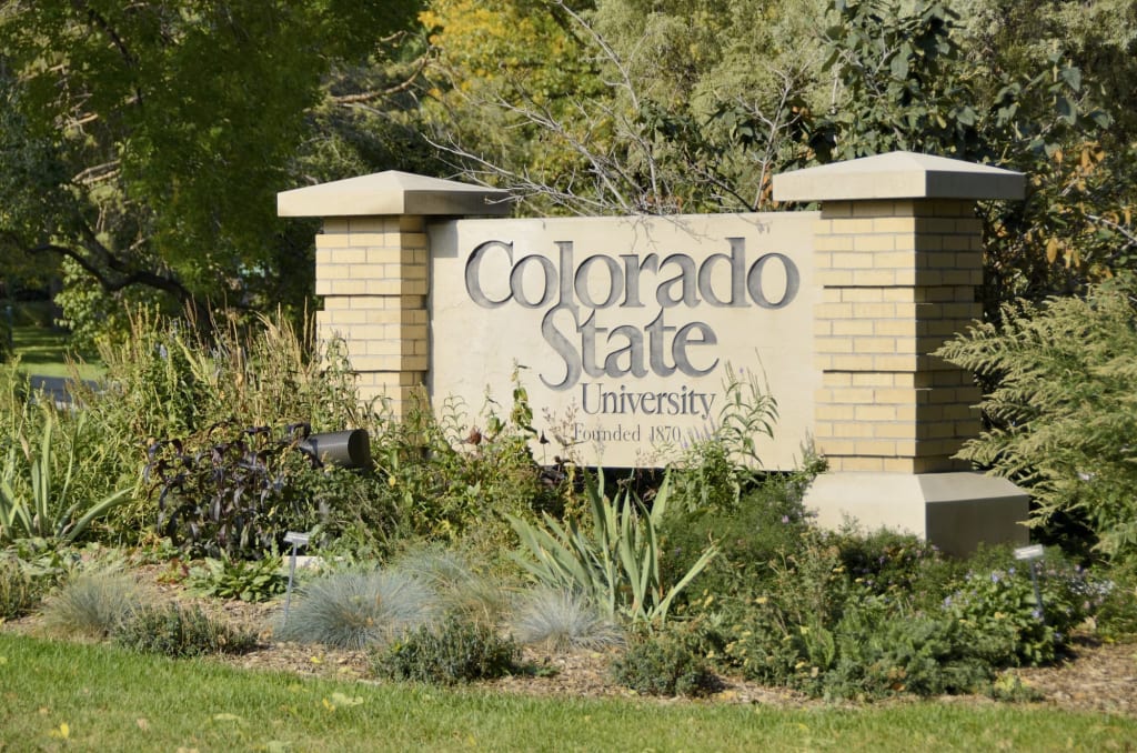 Colorado State University Waives Undergraduate Application Fees ...