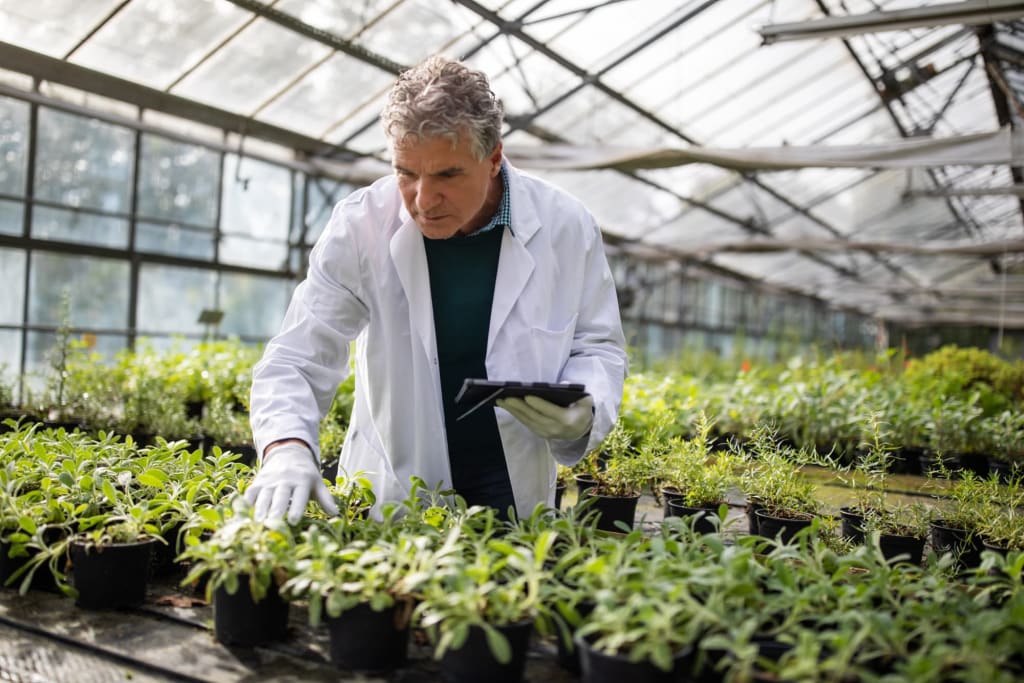 Most Affordable Online Master's In Environmental Management