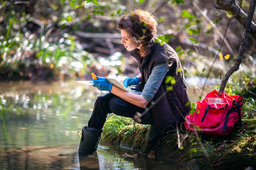 Is AP Environmental Science Hard? A Complete Guide | BestColleges
