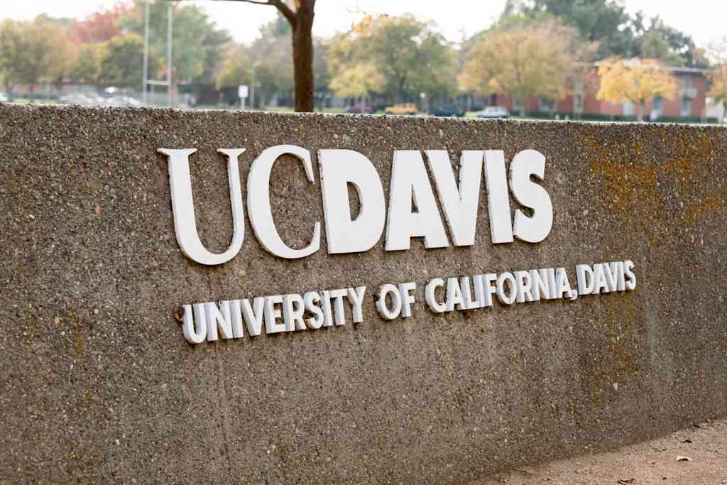 UC Davis' New Business Degree Focuses on STEM | BestColleges