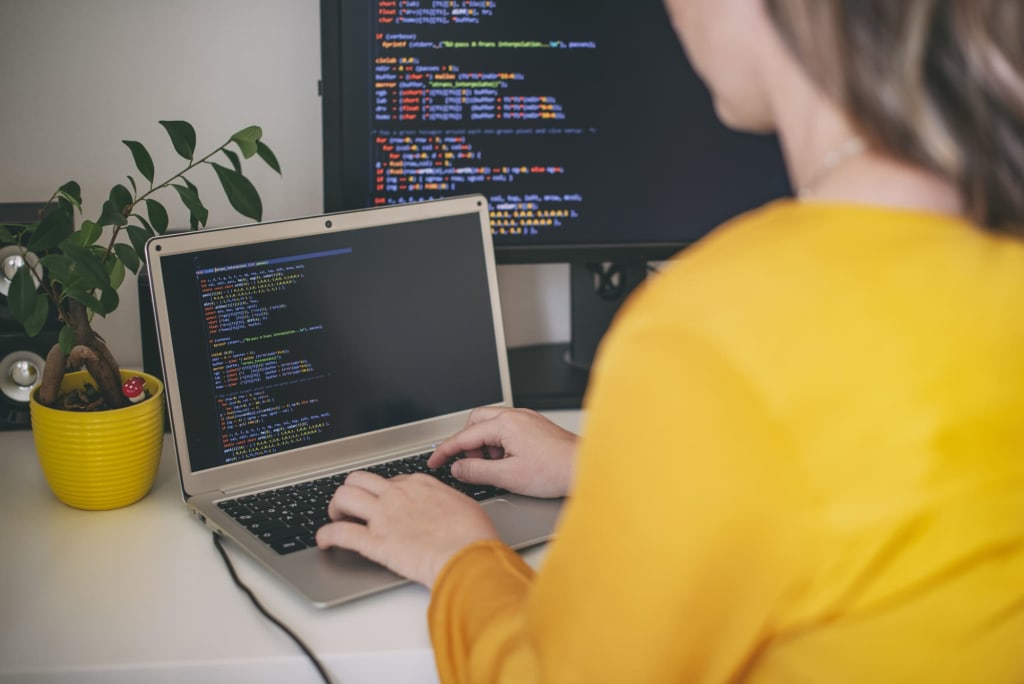 freeCodeCamp Review | BestColleges