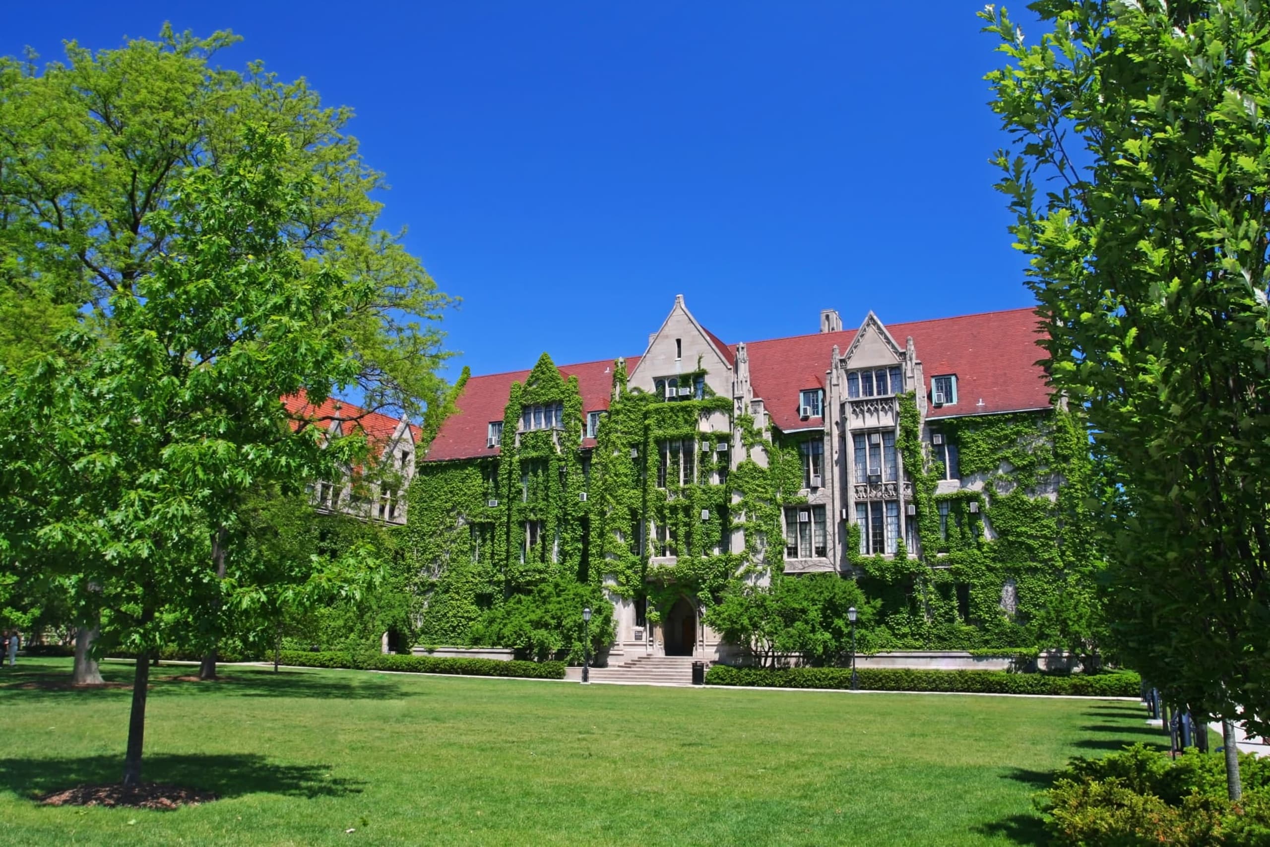 The Top 20 Online Bachelor s Degree Programs In Forensic Accounting The Top 20 Online Bachelor s Degree Programs In Forensic Accounting