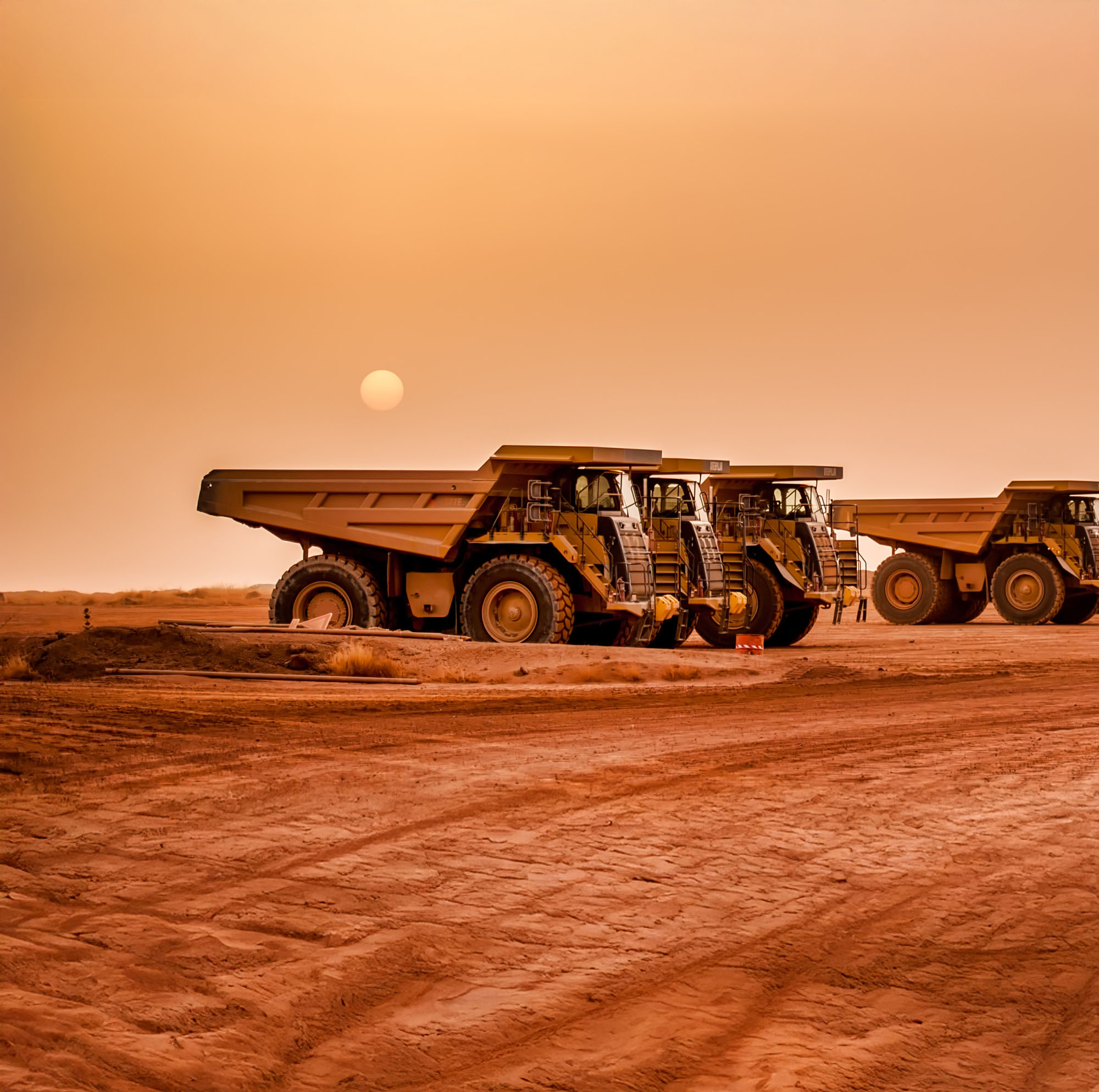 Our Capability