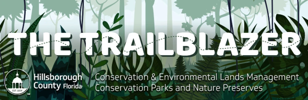 Trailblazer Newsletter | Hillsborough County, FL