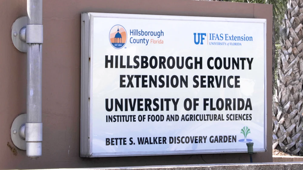 Grow Your Garden and Ease Your Mind | Hillsborough County, FL