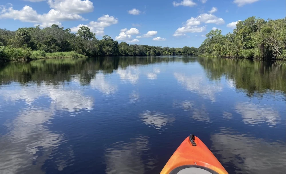 Camp Bayou Spring Fest | Hillsborough County, FL