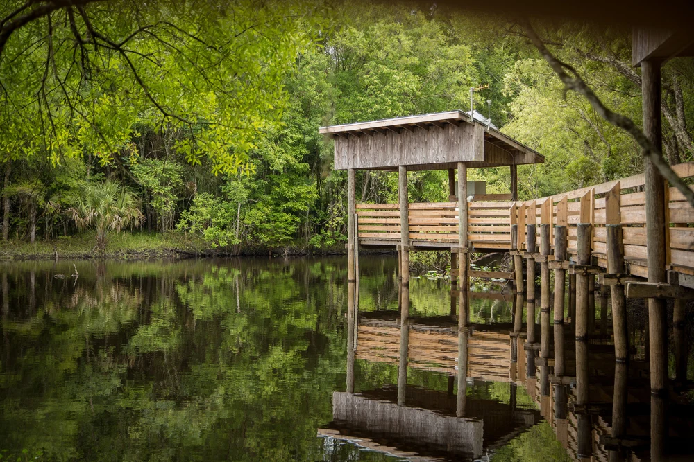 Morris Bridge Conservation Park | Hillsborough County, FL