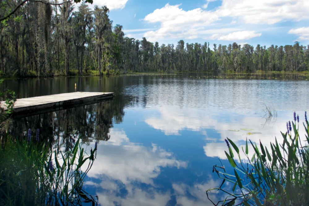Lake Park | Hillsborough County, FL