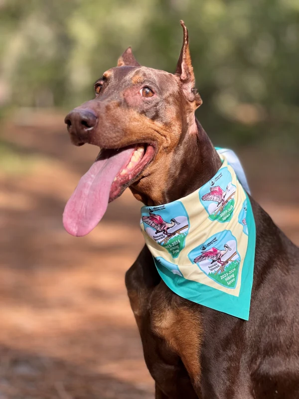 Hiking Spree Rewards | Hillsborough County, FL