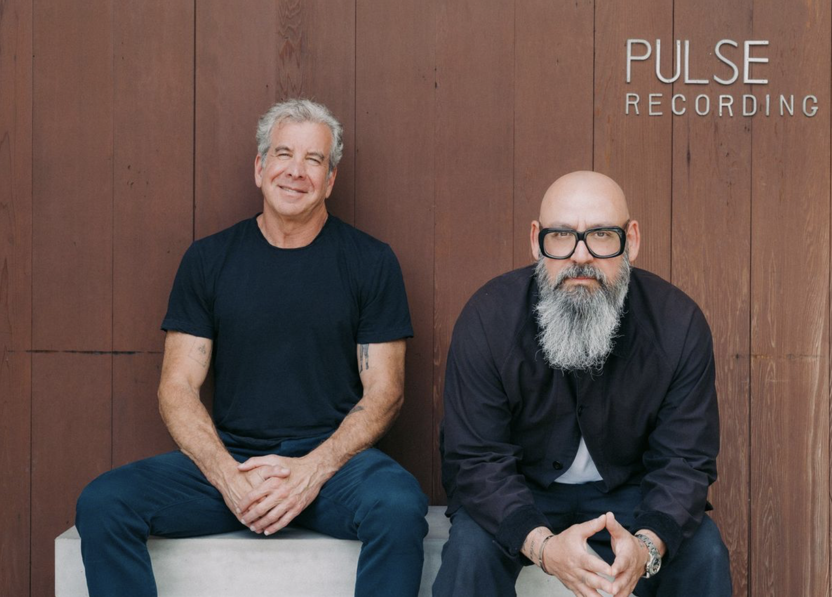 A YEAR WITH PULSE