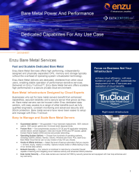 High-Performance Enzu Bare Metal Services | Scalable, Secure, and ...