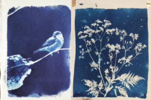 Workshop Cyanotype - Vrije Academie