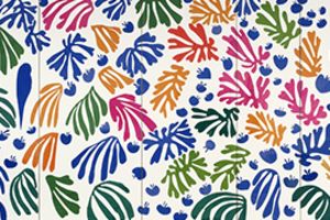 Workshop Knippen als Matisse - Vrije Academie