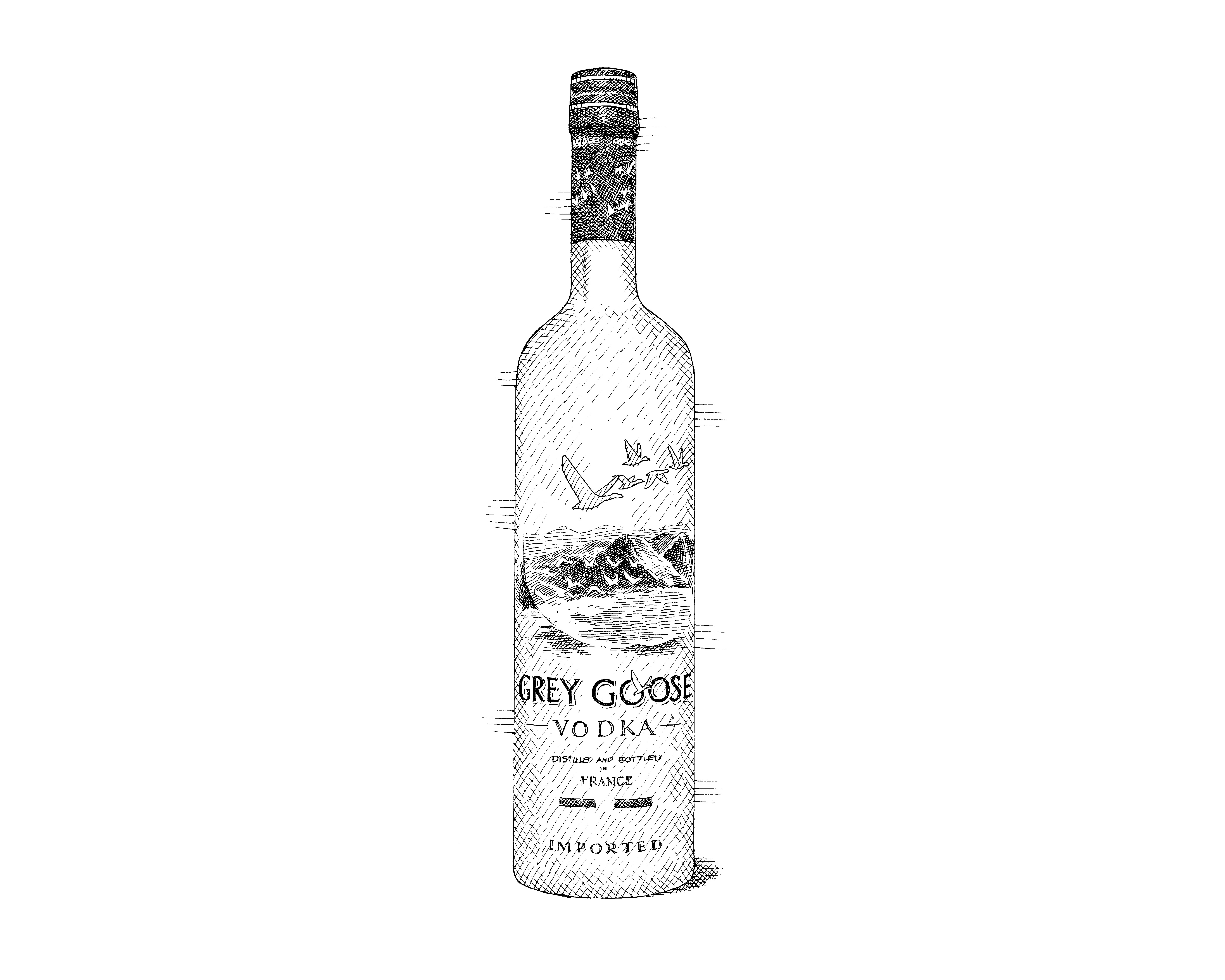 Grey Goose Bottle Drawing