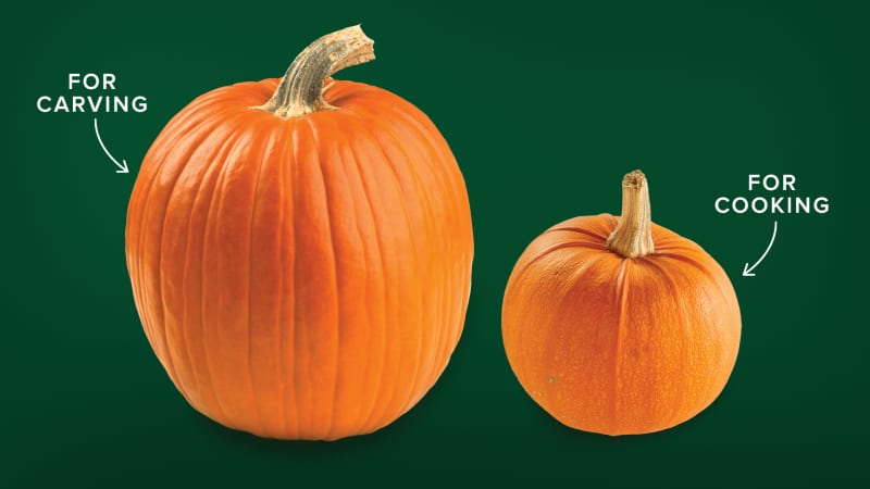 How to Make “Canned” Pumpkin from Fresh | Cook's Illustrated