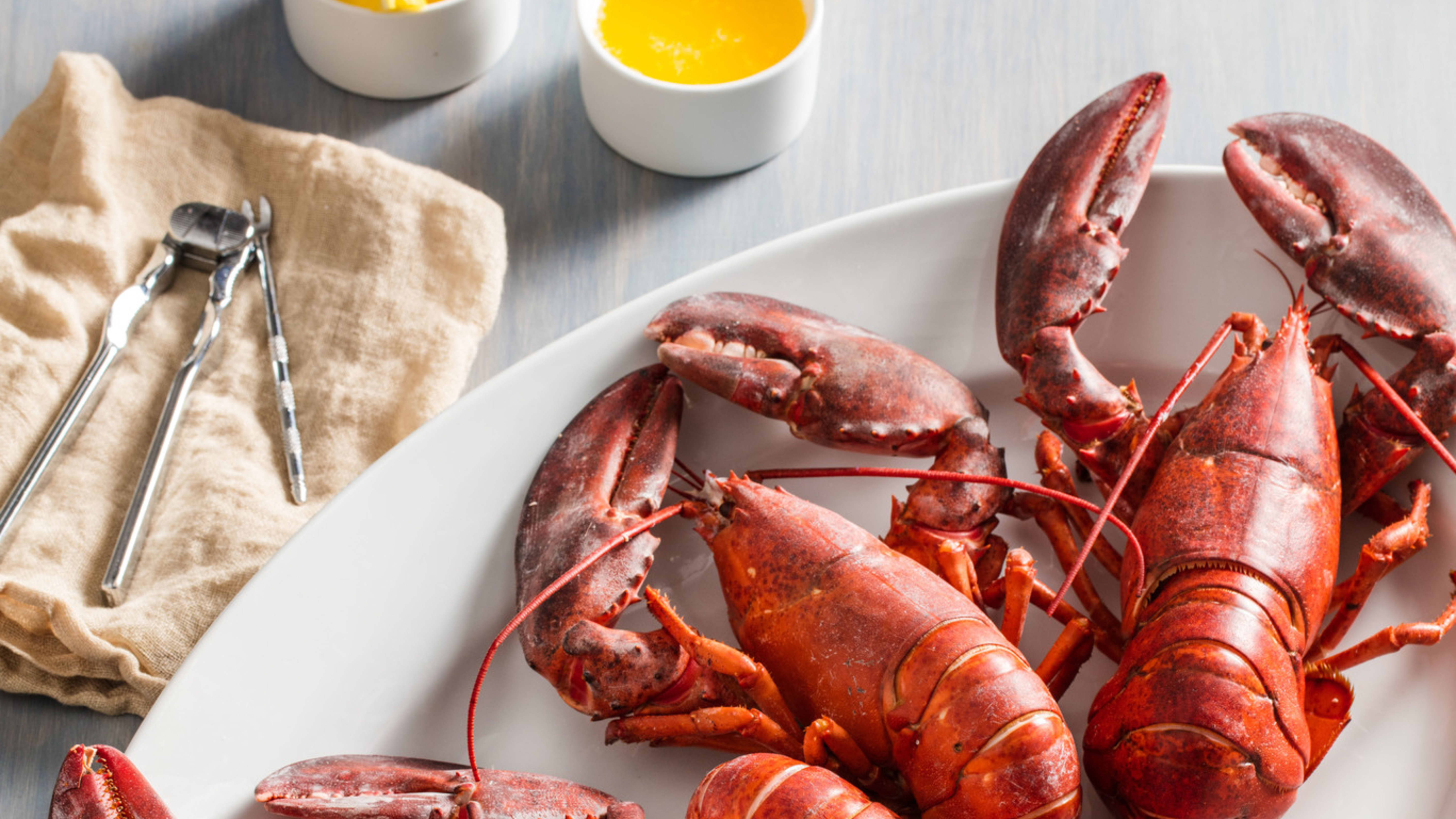 How to Cook Lobster | America's Test Kitchen