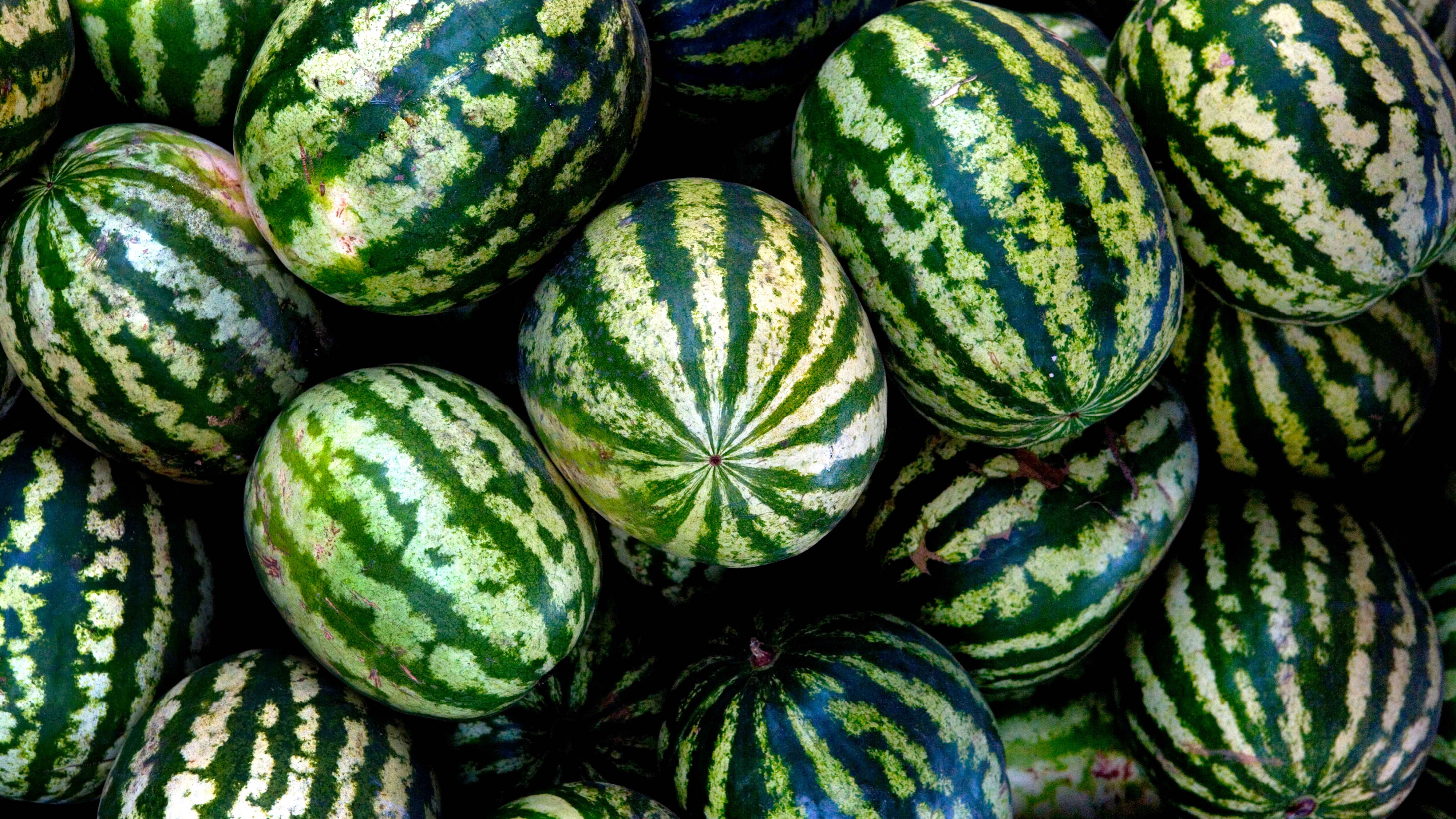 How to Pick a Watermelon | America's Test Kitchen
