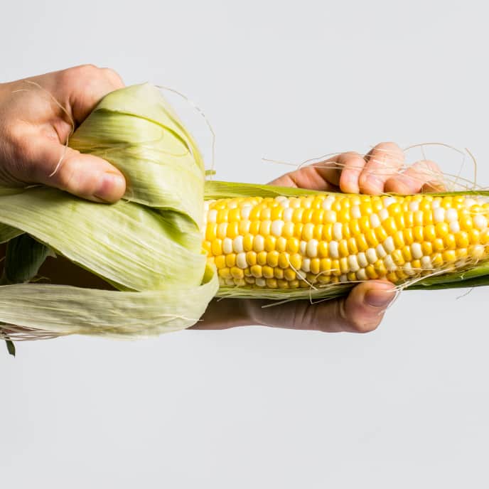 Getting to Know One of the World’s Staple Grains: Corn | America's Test ...