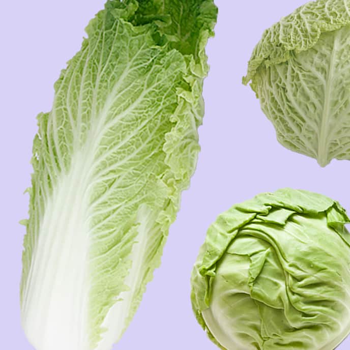 A Primer on Types of Cabbage and How to Use Them | America's Test Kitchen