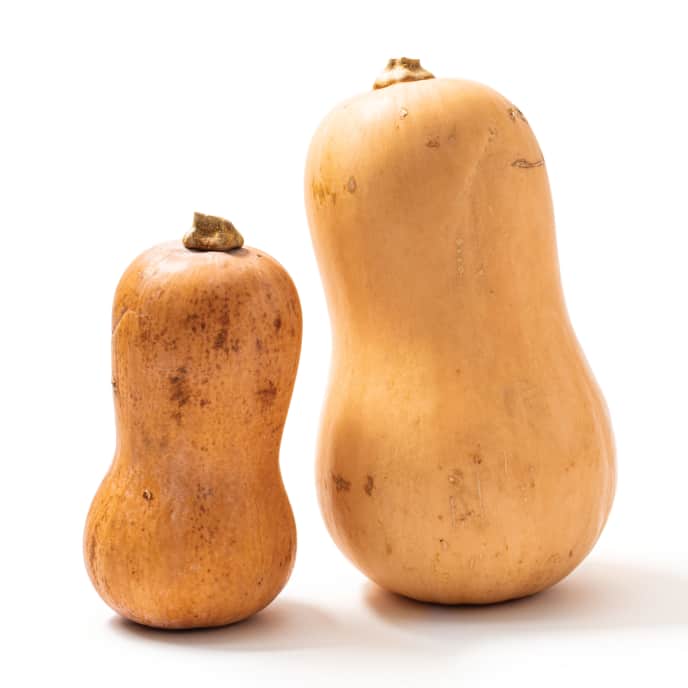 All About Honeynut Squash | America's Test Kitchen