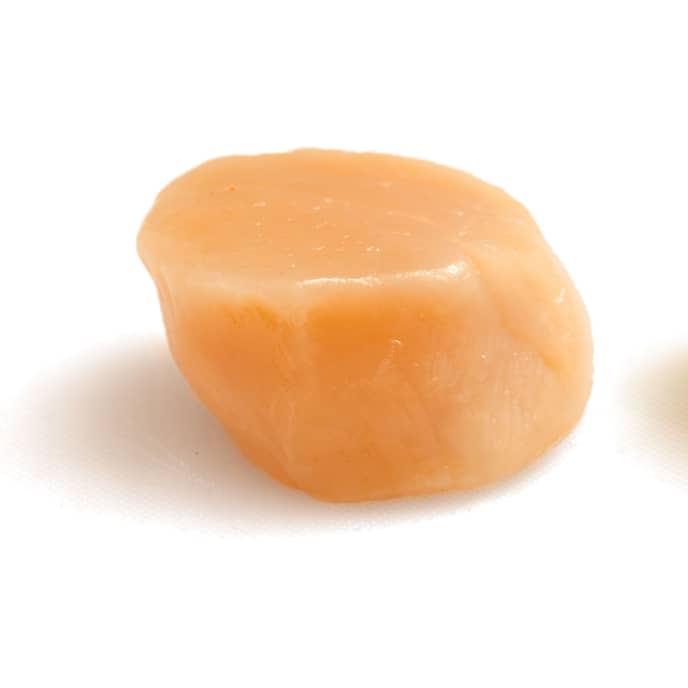 Female Scallops Taste Better. Here’s How to ID Them. | America's Test ...