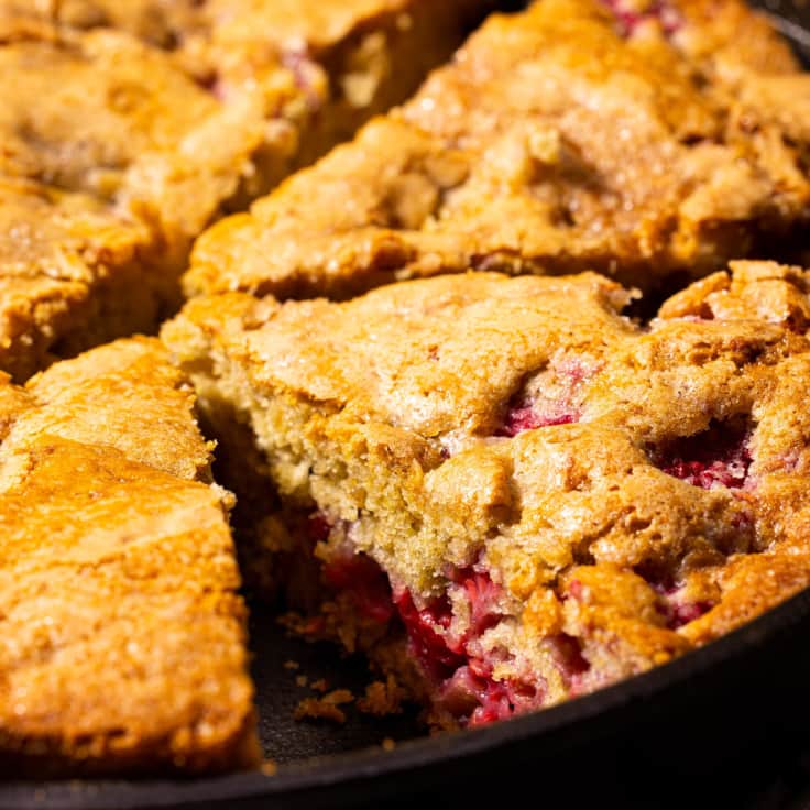 Cast Iron Raspberry-Ginger Buttermilk Cake | America's Test Kitchen Recipe