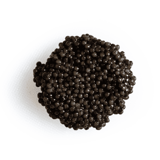 All About American Caviar and Roe | America's Test Kitchen