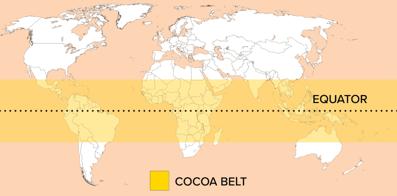 What Is Single-Origin Chocolate? | America's Test Kitchen