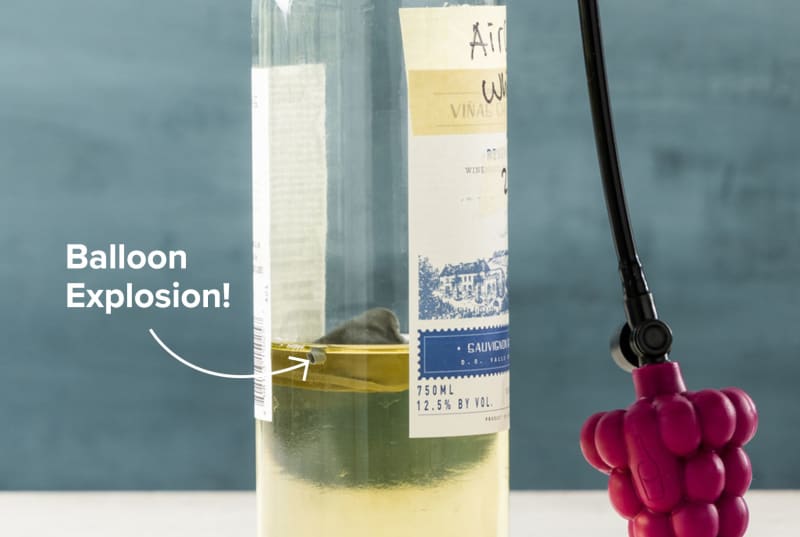 The Best Wine Savers of 2024 | America's Test Kitchen