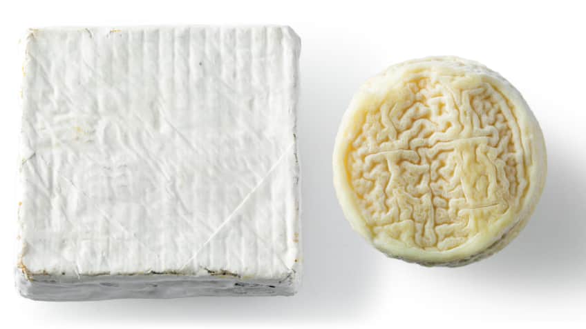 Fifteen Great Goat Cheeses You Should Know | America's Test Kitchen