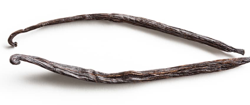 Everything You Need to Know About Vanilla | America's Test Kitchen