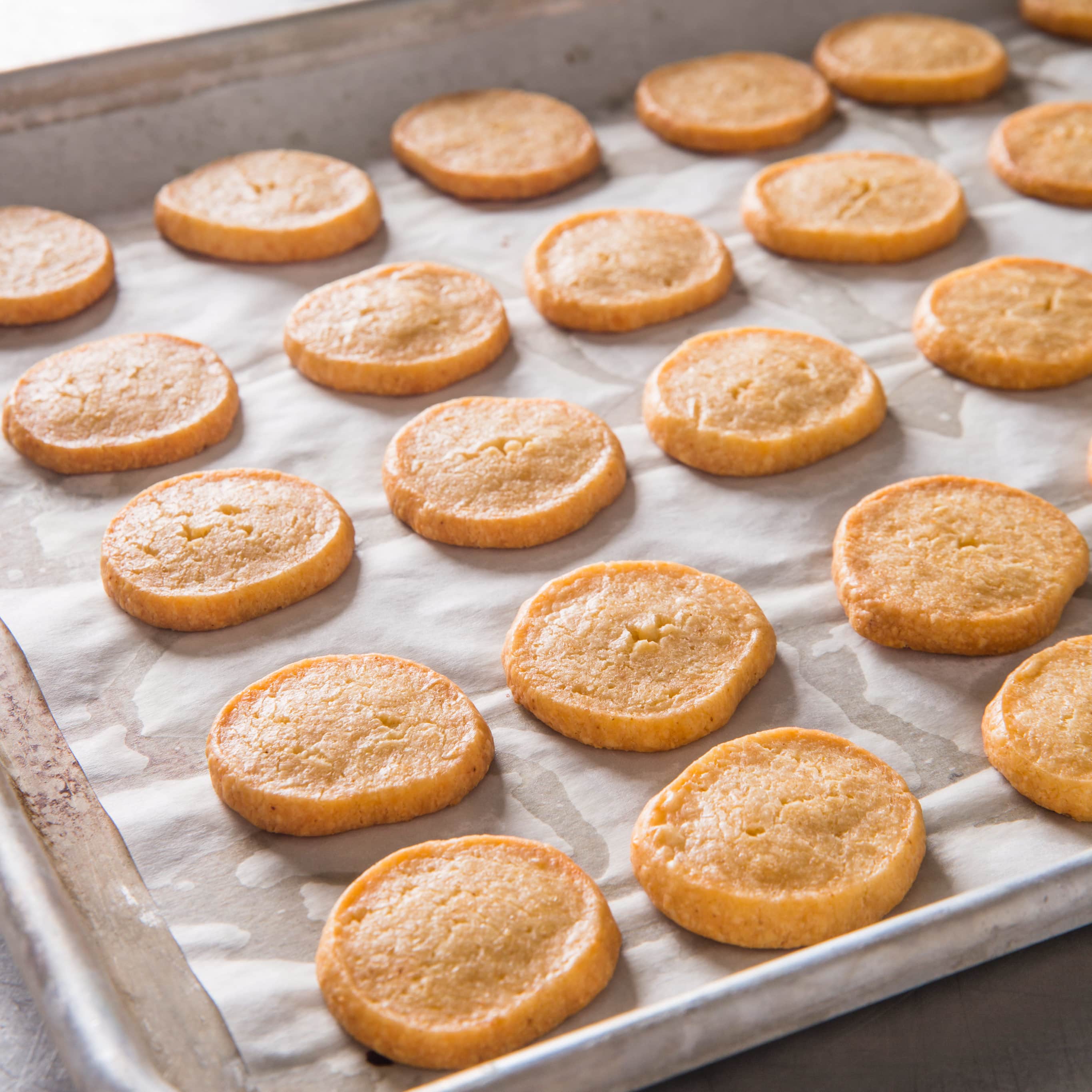 Cheddar Cheese Coins | America's Test Kitchen