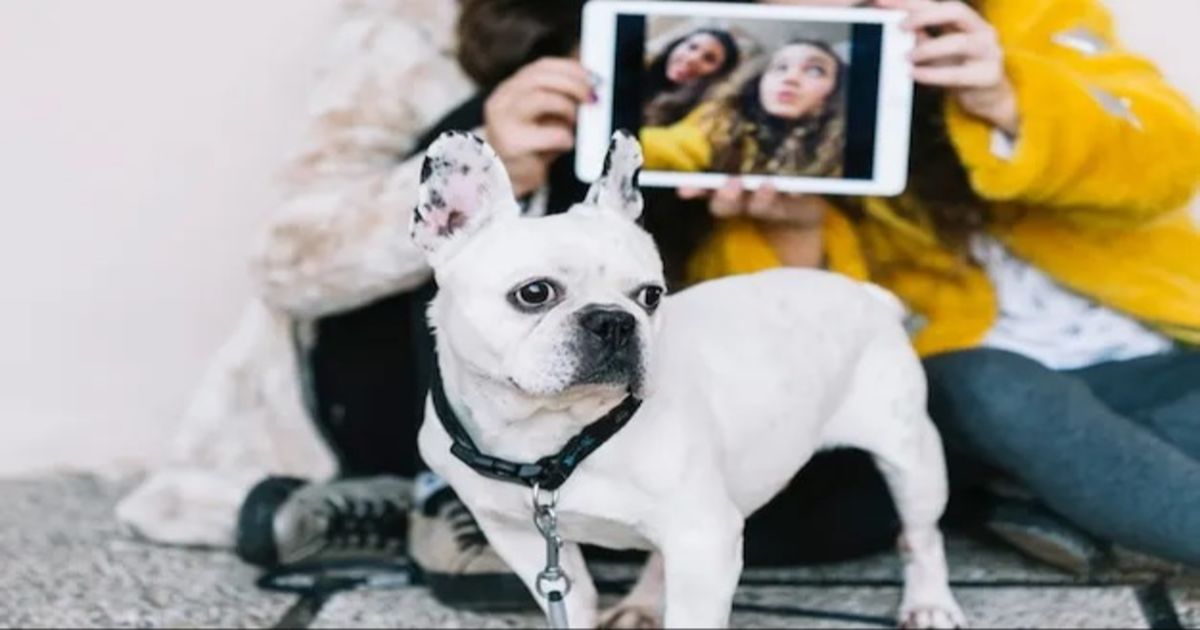 Top Celebrities with Their Dogs A Glimpse into the Glamorous World of ...