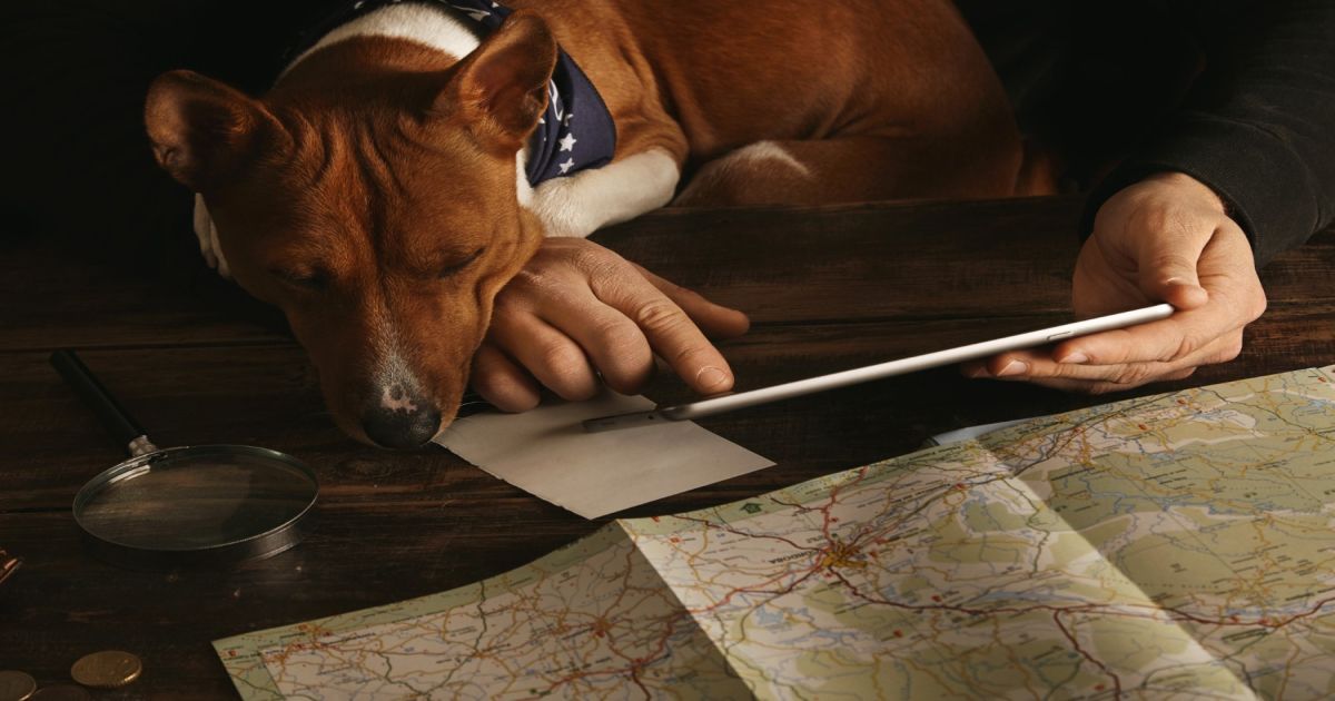 Dog Detectives How Canines Solved Mysteries and Crimes | Doggs.Life