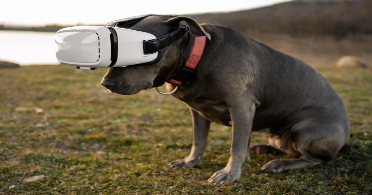 Digital Dogs The Rise of Canine Technology | Doggs.Life