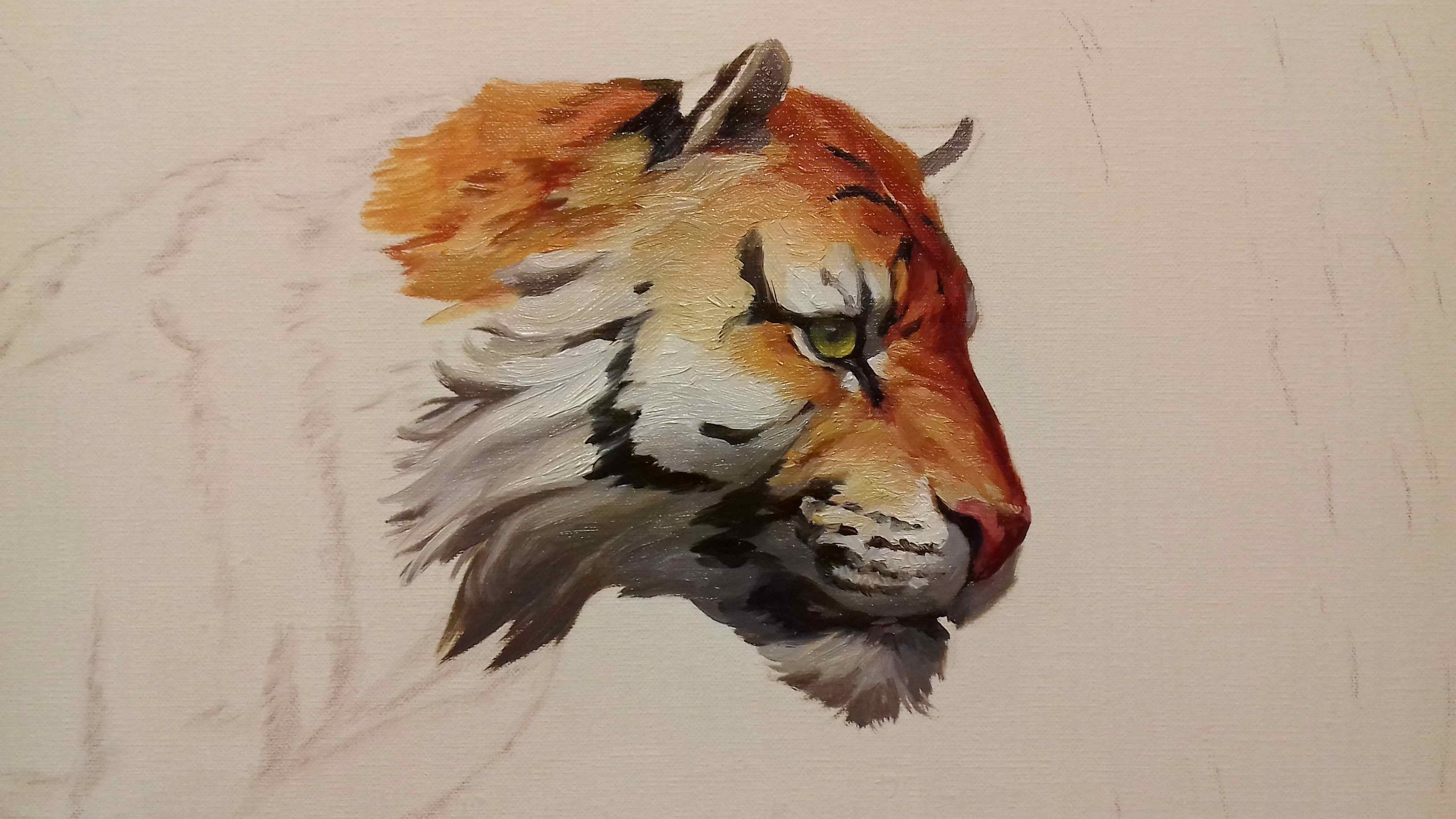 tiger attack deer drawing