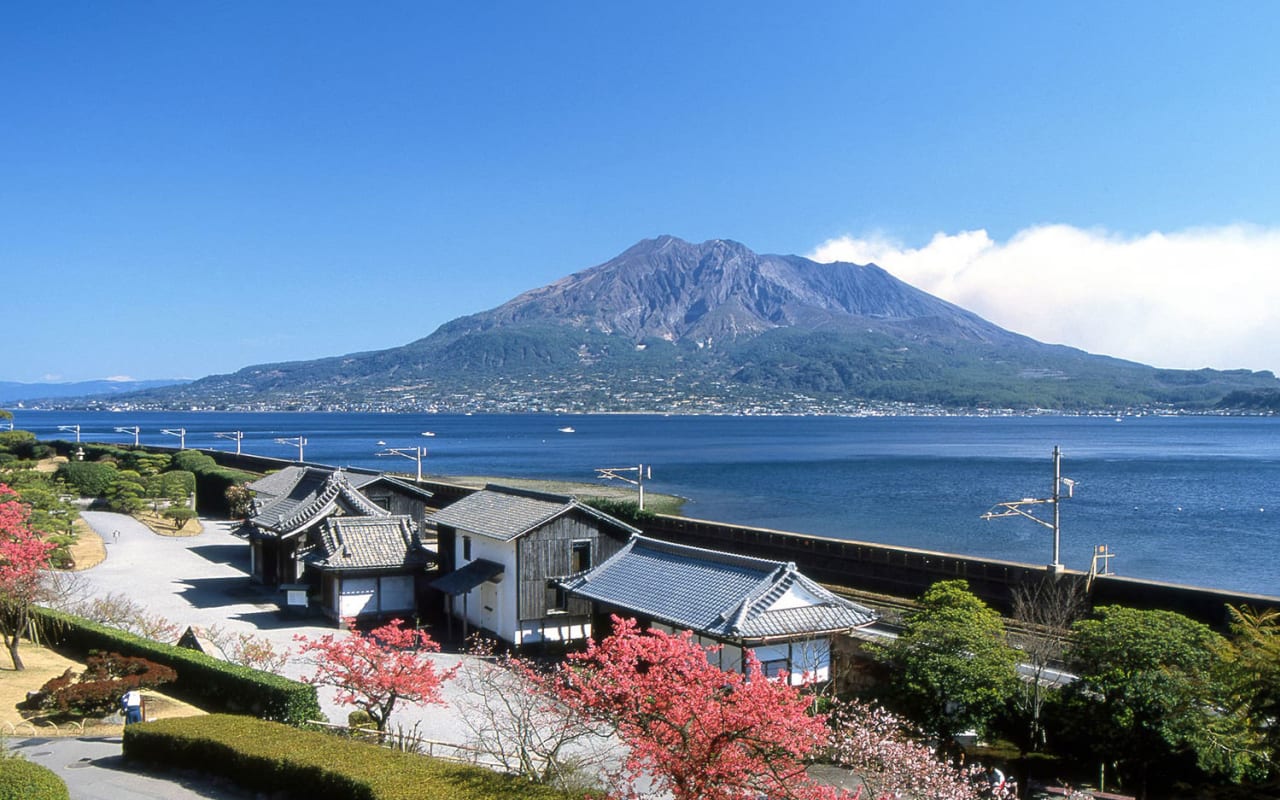 Spring | Visit Kyushu