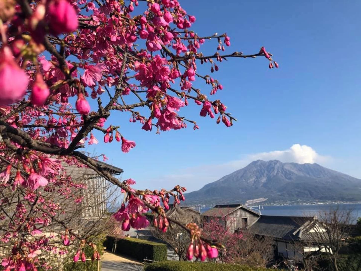 Spring | Visit Kyushu
